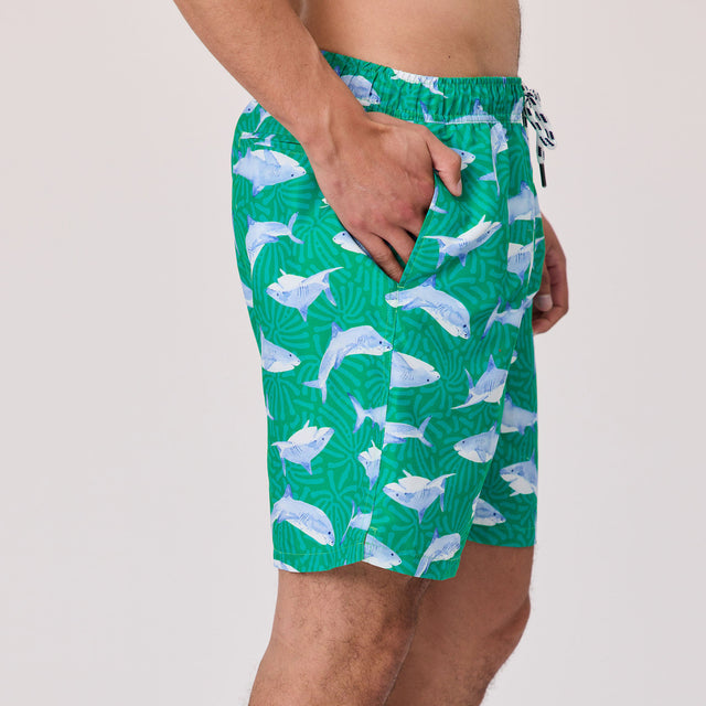 Mens Reef Shark Swim Short | Snapper Rock
